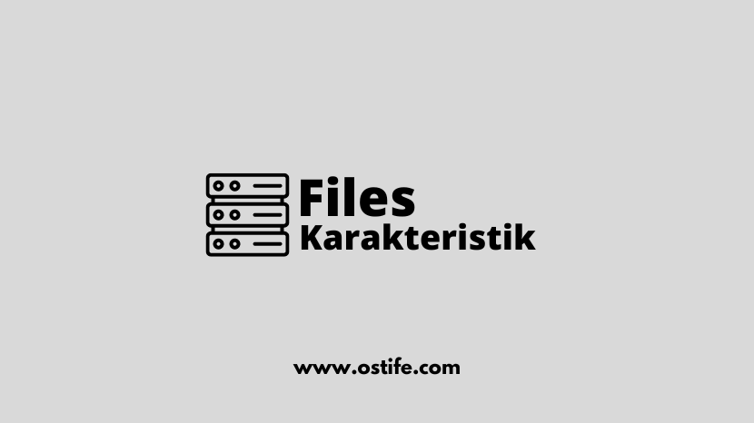 Karakteristik Pada File Server - Ostife