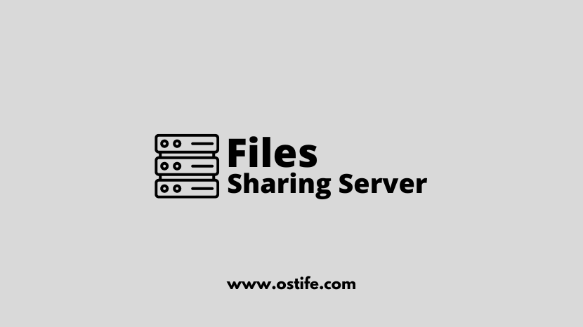 Fungsi Dan Manfaat File Server Ostife