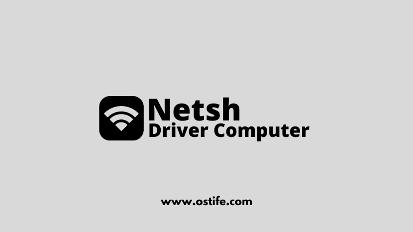 Fungsi Network Adapter Driver Komputer - Ostife